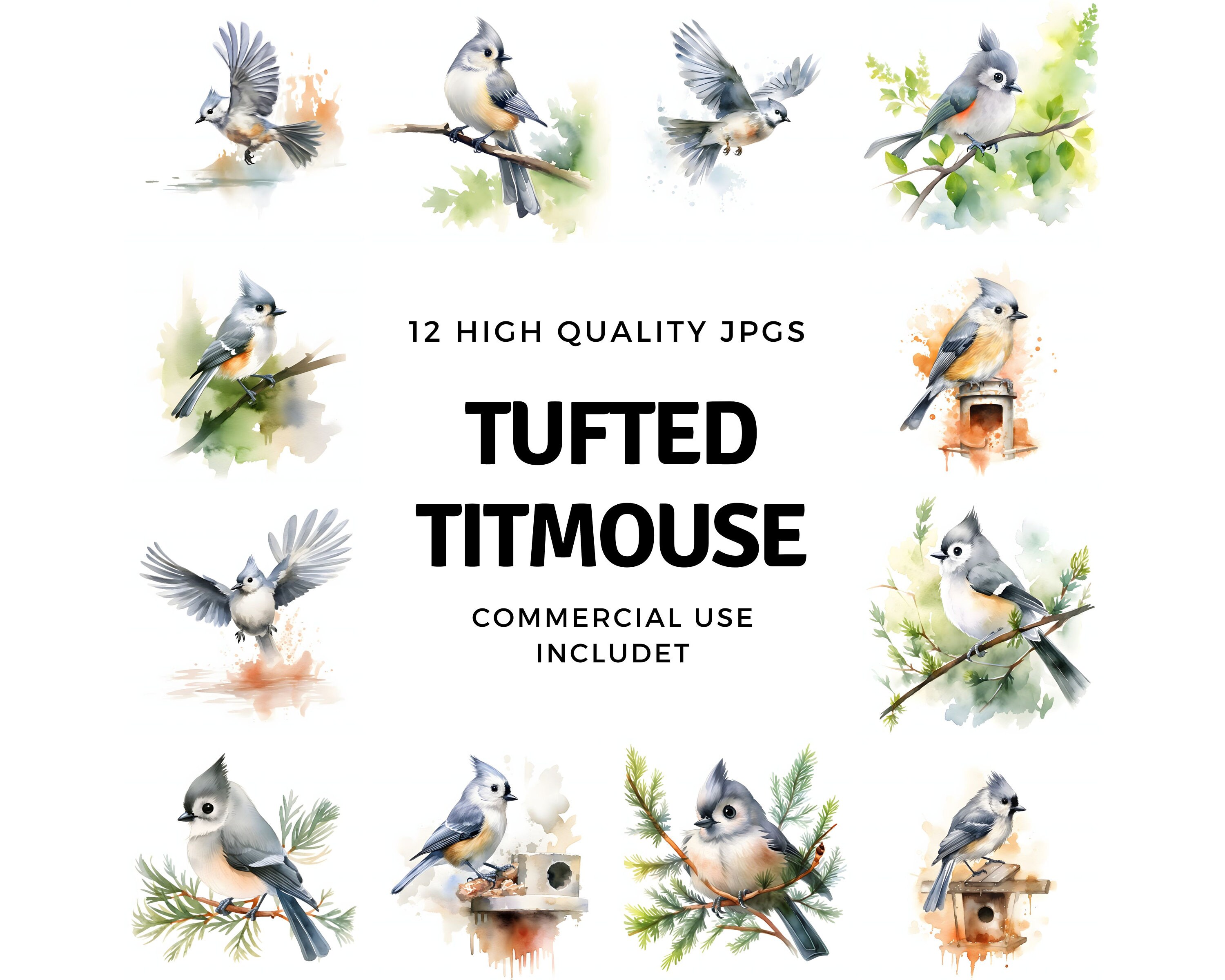 Tufted Titmouse Clipart - 12 High Quality Jpgs - Instant Download ...
