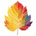 Fall Colored Leaf Clipart - 12 High Quality Jpgs - Instant Download ...