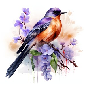 Floral Birds Clipart - 12 High Quality Jpgs - Instant Download - Card ...
