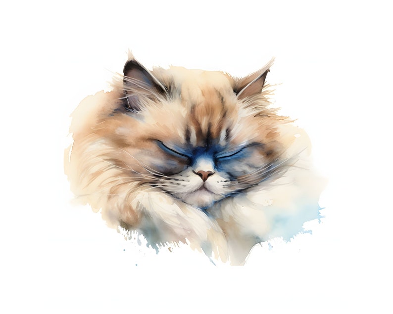 Watercolor Himalayan Cat Jumping Clipart Cat Sleeping for Scrapbooking ...