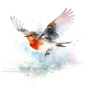 European Robin Clipart 12 High Quality Jpgs Instant Download Card ...