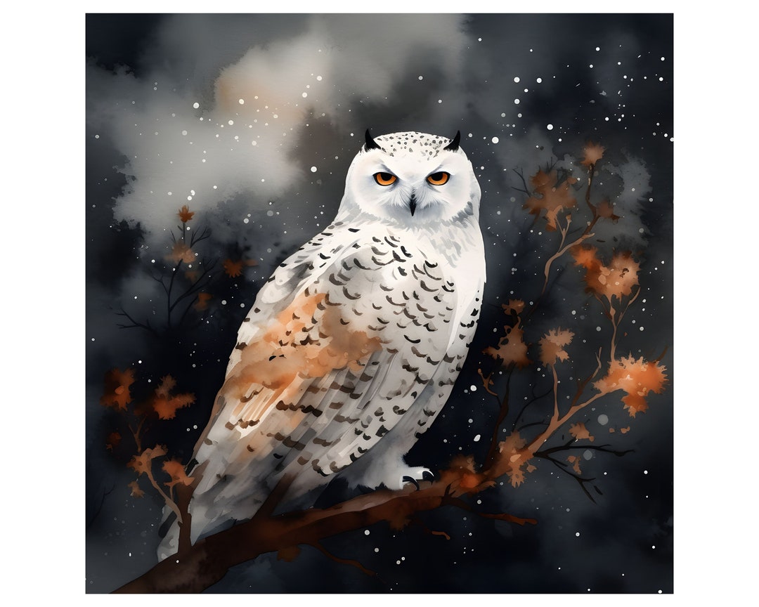 Snowy Owl Clipart - 12 High Quality Jpgs - Instant Download - Card ...