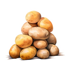 Pile of Potatoes Clipart - 12 High Quality Jpgs - Instant Download ...
