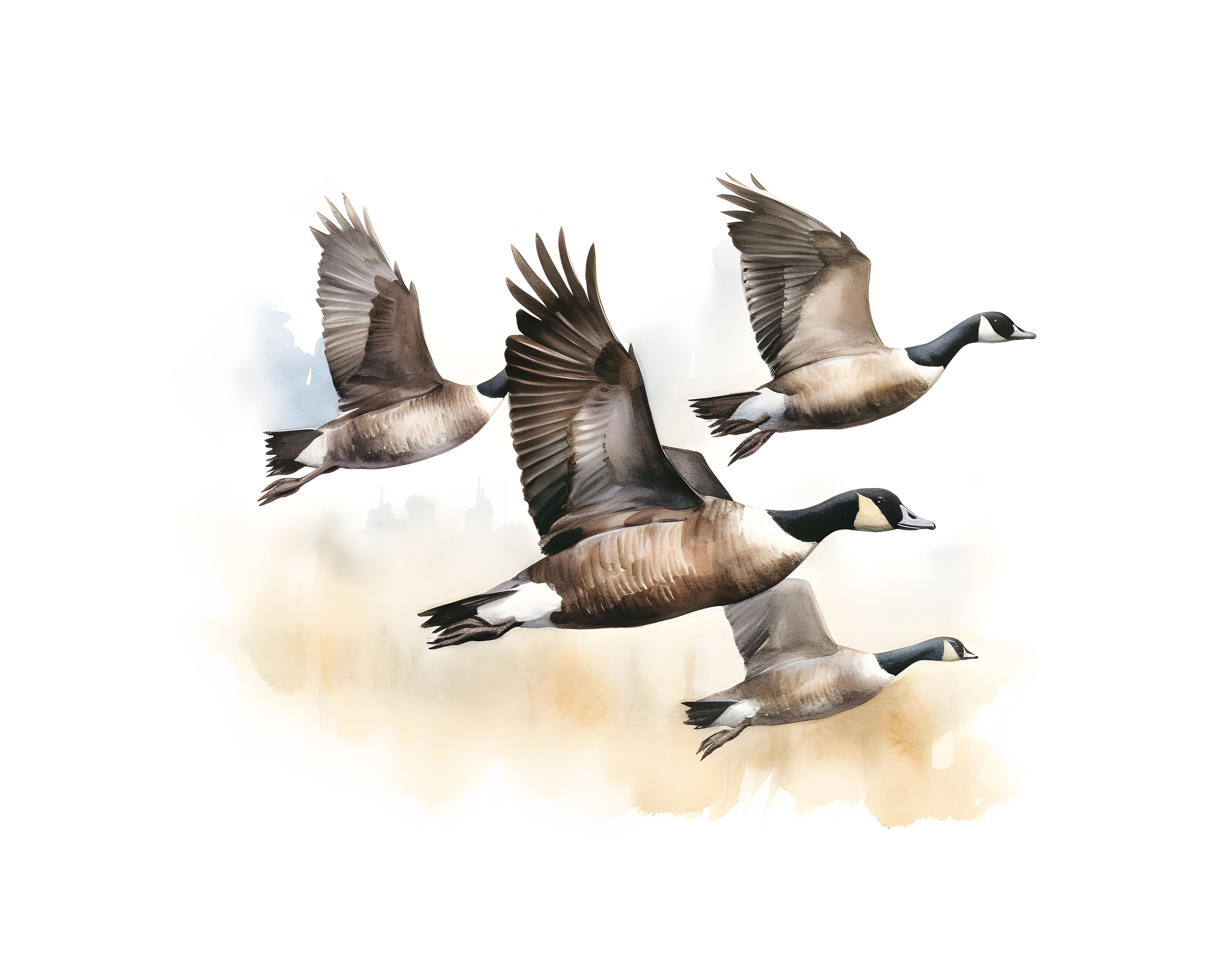 Canadian Geese Clipart