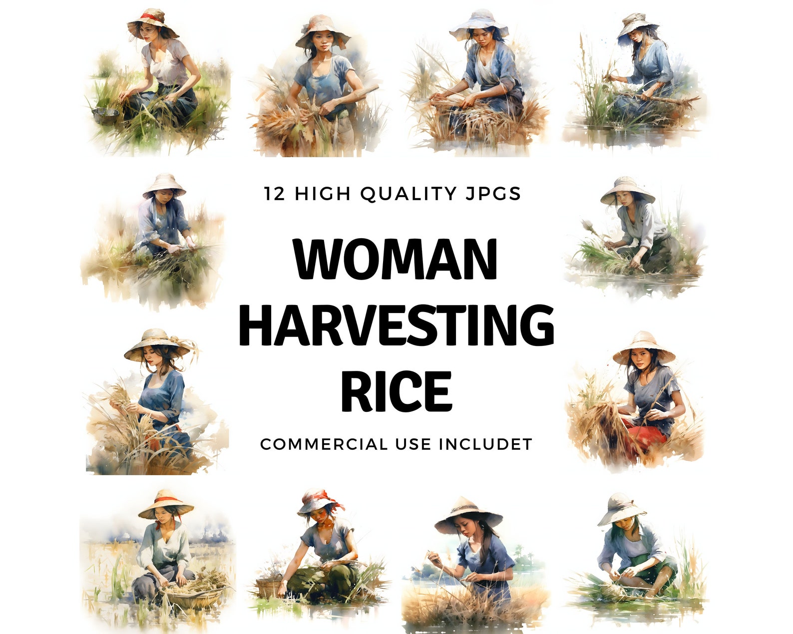 Woman Harvesting Rice Clipart 12 High Quality Jpgs Instant Download ...
