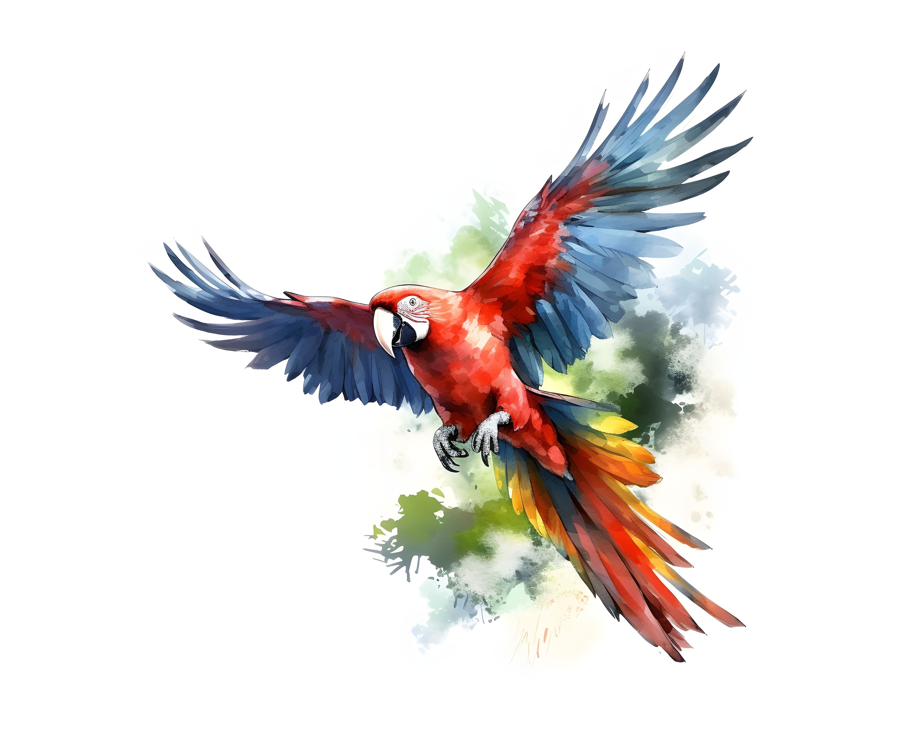Scarlet Macaw Clipart - 12 High Quality Jpgs - Instant Download - Card ...