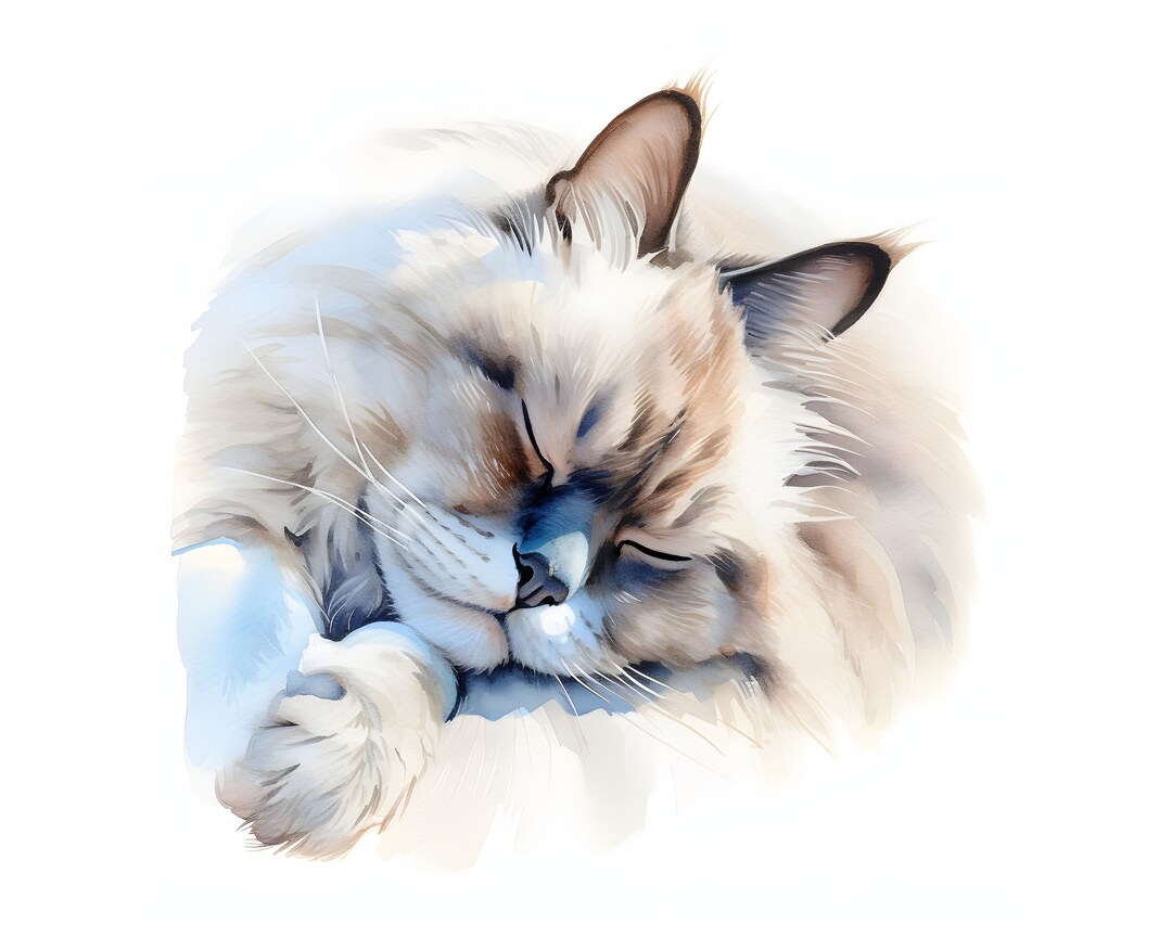 Watercolor Himalayan Cat Jumping Clipart Cat Sleeping for Scrapbooking ...