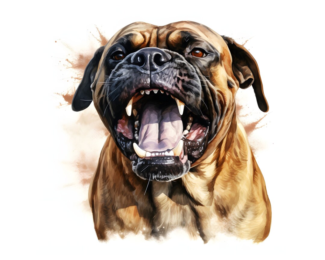 Watercolor Bullmastiff Dog Clipart - 12 Quality Jpgs - Instant Download ...