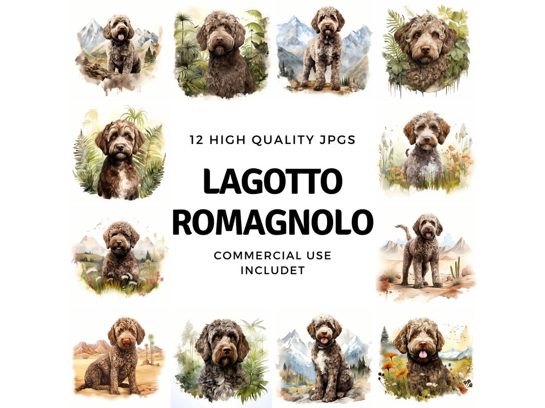Lagotto Romagnolo Clipart - 12 High Quality Jpgs - Instant Download ...