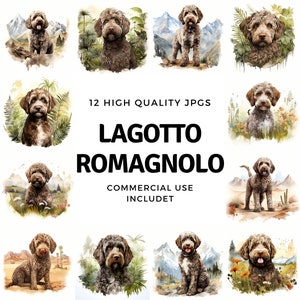 Lagotto Romagnolo Clipart - 12 High Quality Jpgs - Instant Download ...