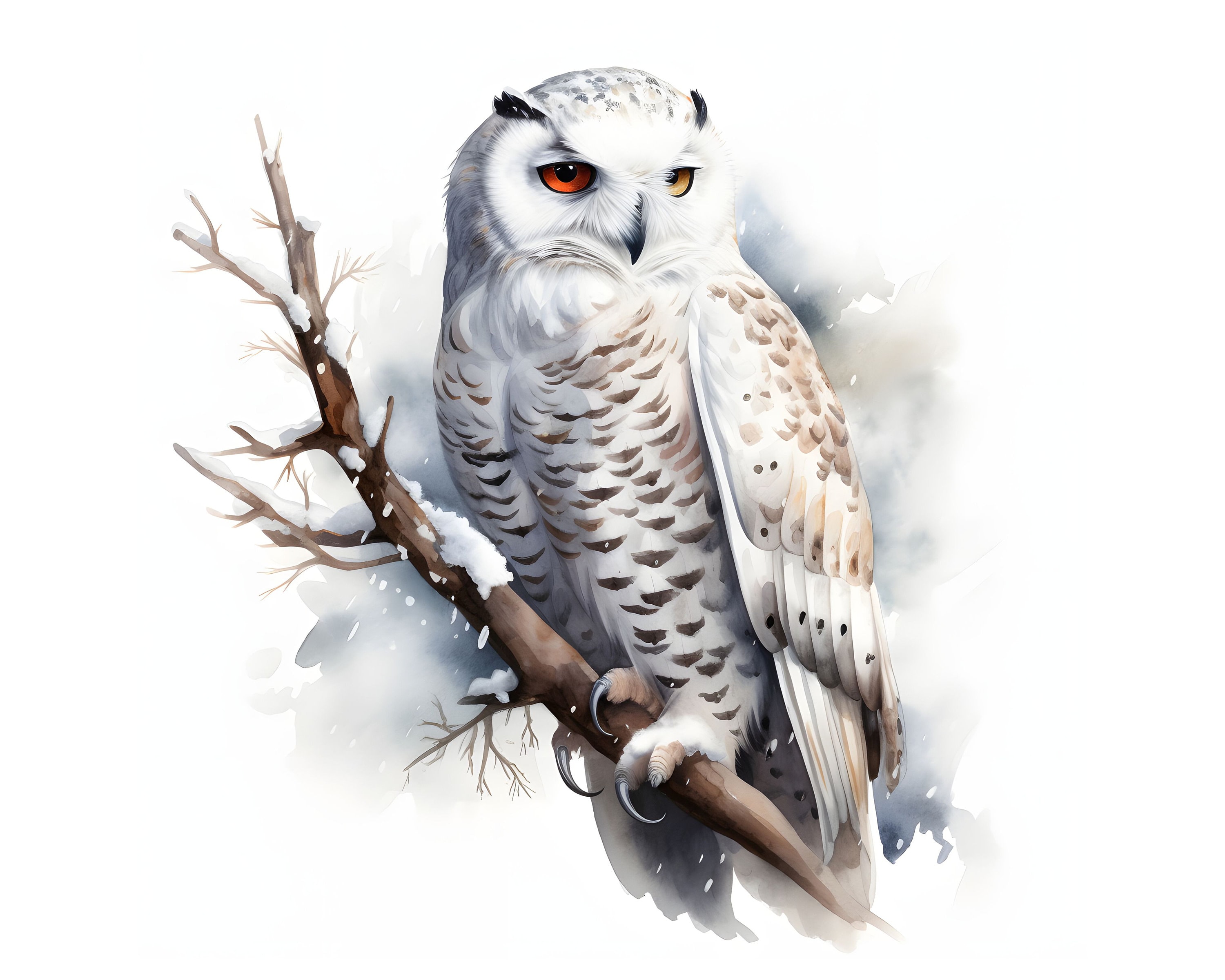 Snowy Owl Clipart