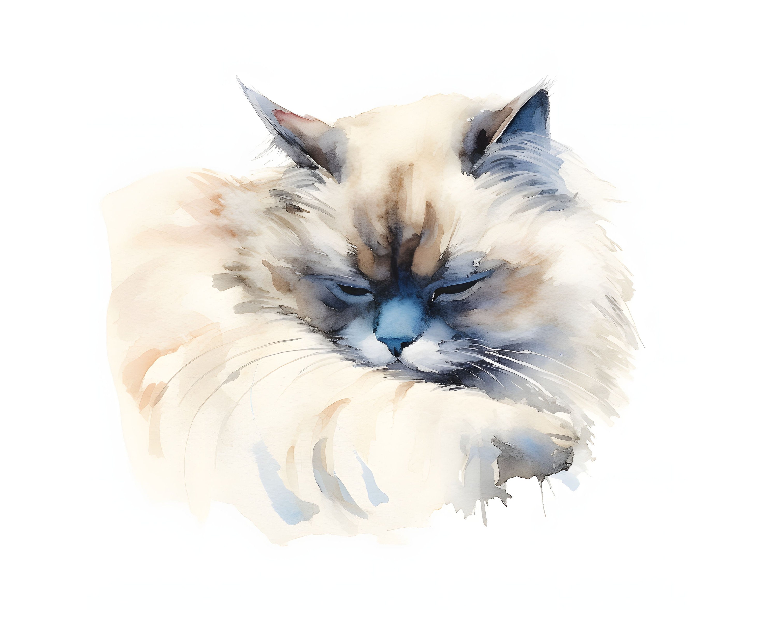 Watercolor Himalayan Cat Jumping Clipart Cat Sleeping for Scrapbooking ...