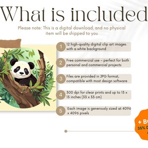 Cartoon Panda Clipart - 12 High Quality Jpgs - Instant Download - Card ...