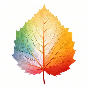 Fall Colored Leaf Clipart - 12 High Quality Jpgs - Instant Download ...