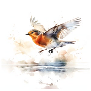 European Robin Clipart 12 High Quality Jpgs Instant Download Card ...
