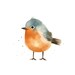 Children's Book Robin Clipart - 12 High Quality Jpgs - Instant Download ...