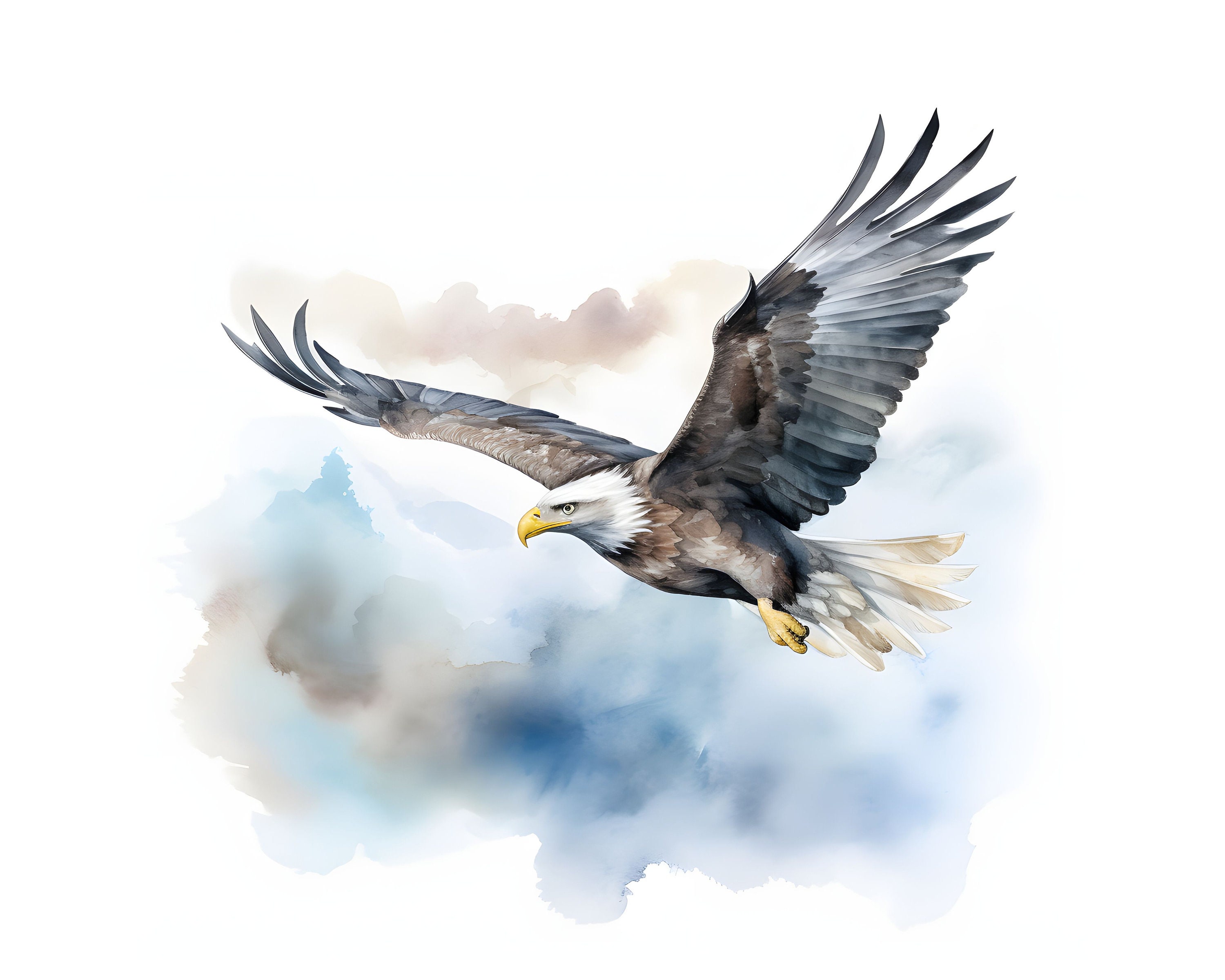 Bald Eagle Clipart 12 High Quality Jpgs Instant Download - Etsy