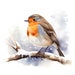 Snowy European Robins Clipart - 12 High Quality Jpgs - Instant Download ...