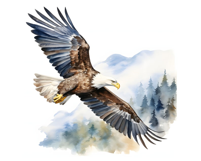 Watercolor Bald Eagle Clipart 12 High Quality Jpgs Instant Download ...