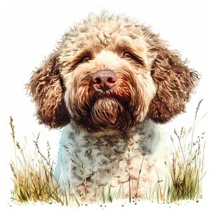 Lagotto Romagnolo Clipart - 12 High Quality Jpgs - Instant Download ...