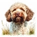 Lagotto Romagnolo Clipart - 12 High Quality Jpgs - Instant Download ...