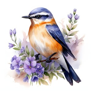 Floral Birds Clipart - 12 High Quality Jpgs - Instant Download - Card ...