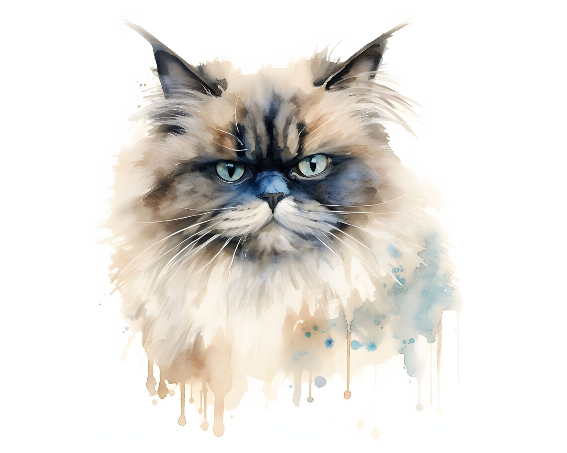 Watercolor Himalayan Cat Jumping Clipart Cat Sleeping for Scrapbooking ...