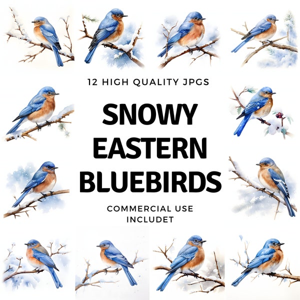 Eastern Bluebird Svg - Etsy