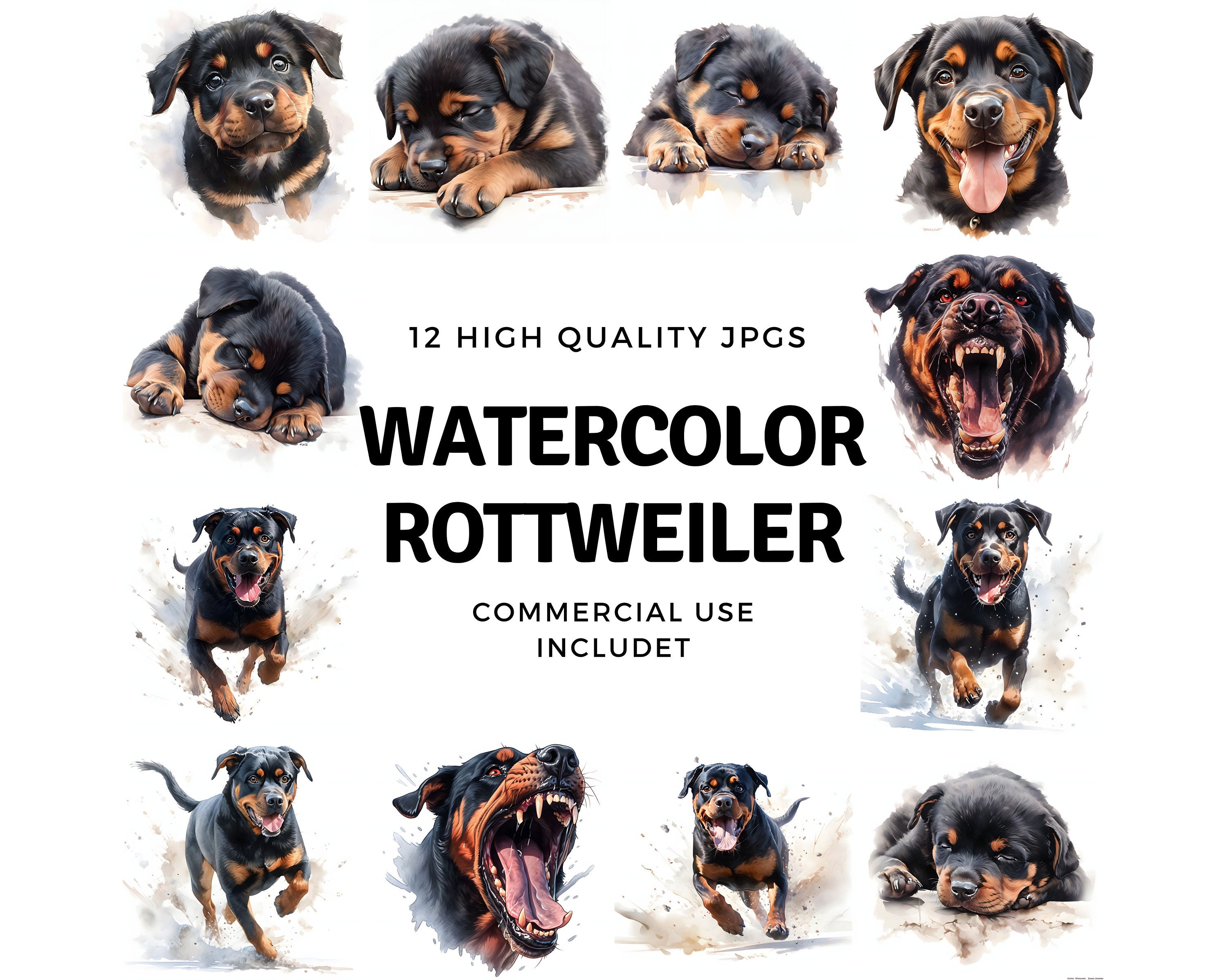 Watercolor Rottweiler Clipart 12 High Quality Jpgs Instant Download ...