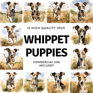 Whippet Puppies Clipart - 12 High Quality Jpgs - Instant Download ...