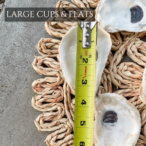 Oyster Shells Large 3"-4" Bulk| Crafts| Ornaments| Bridesmaid| Beach ...