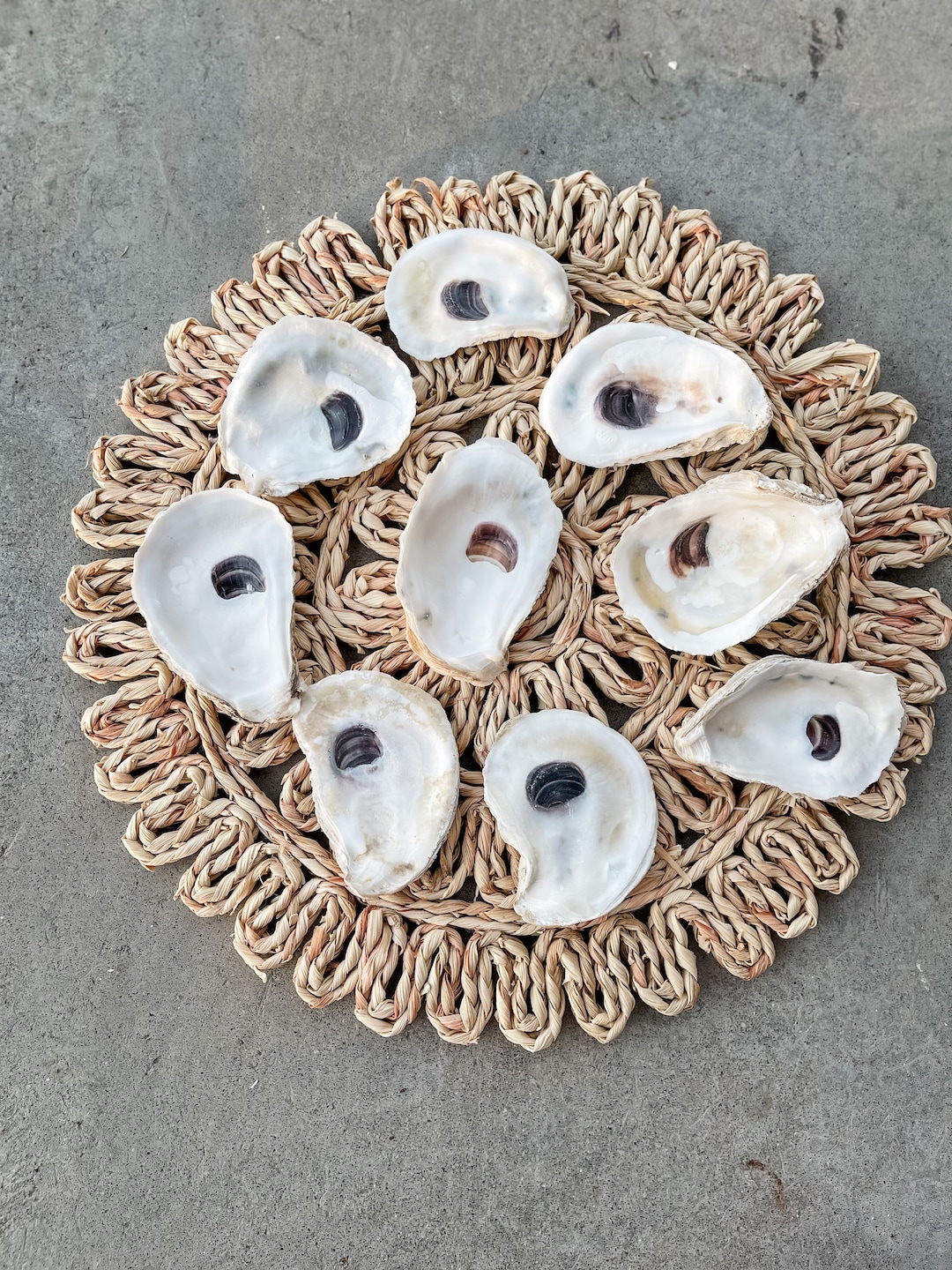 Oyster Shells Large 3"-4" Bulk| Crafts| Ornaments| Bridesmaid| Beach ...