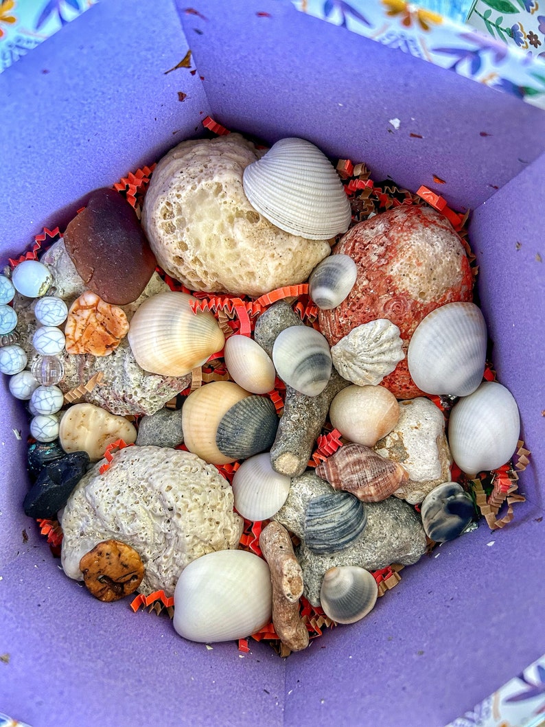 Mystery Ocean Treasure Box- Seashells, Sea Glass, Rocks, Crystals ...