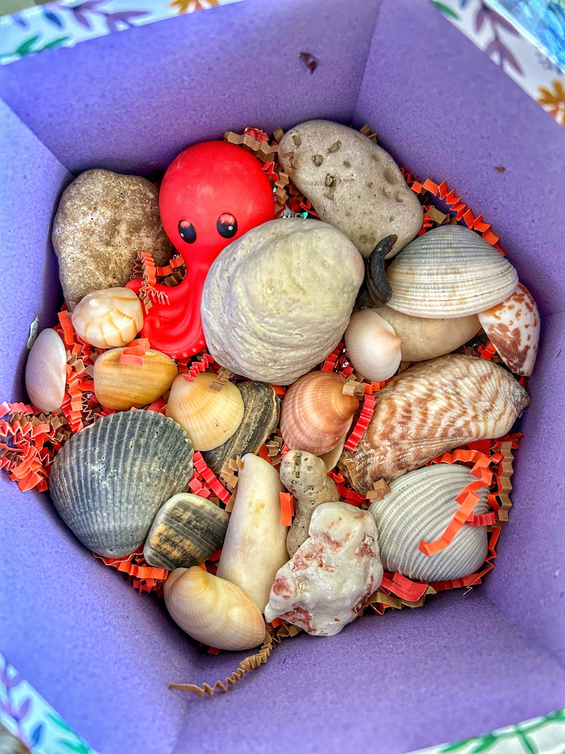 Mystery Ocean Treasure Box- Seashells, Sea Glass, Rocks, Crystals ...