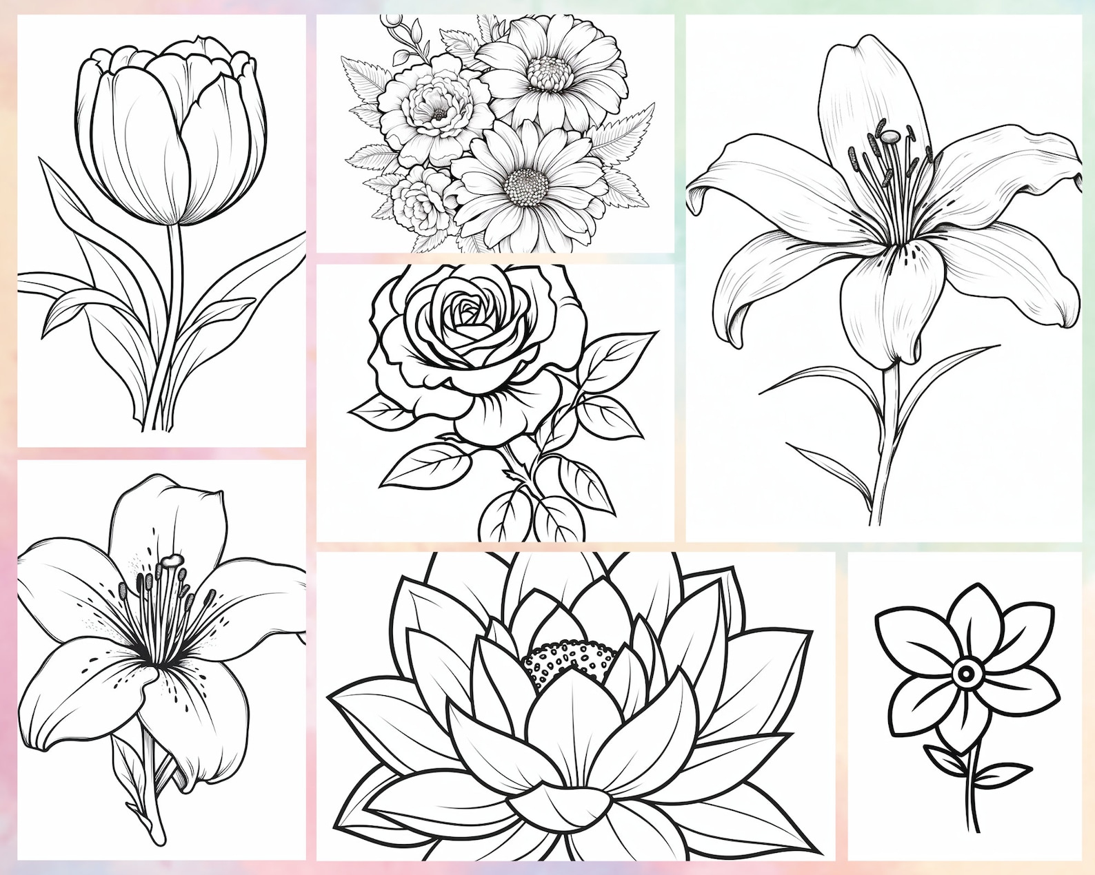 30 Flowers Coloring Page Flowers Outline Design Kids - Etsy