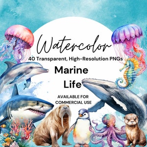 Marine Life Ocean Wonders Clipart Pack Sea Turtles, Sharks, Penguins ...