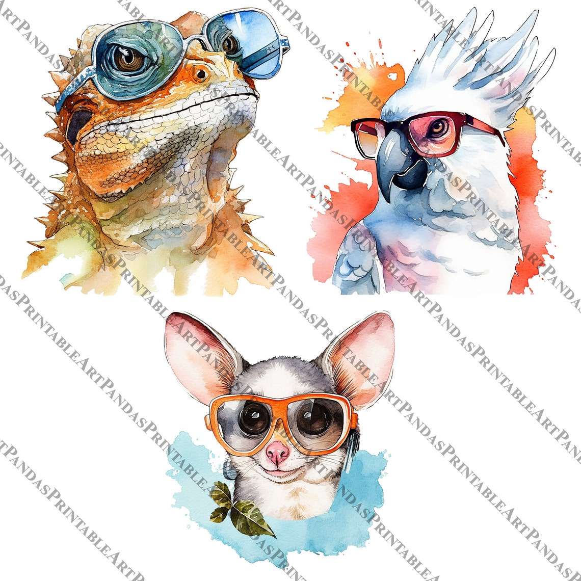 Watercolor Outback Animals With Sunglasses Summer Clipart, Transparent ...