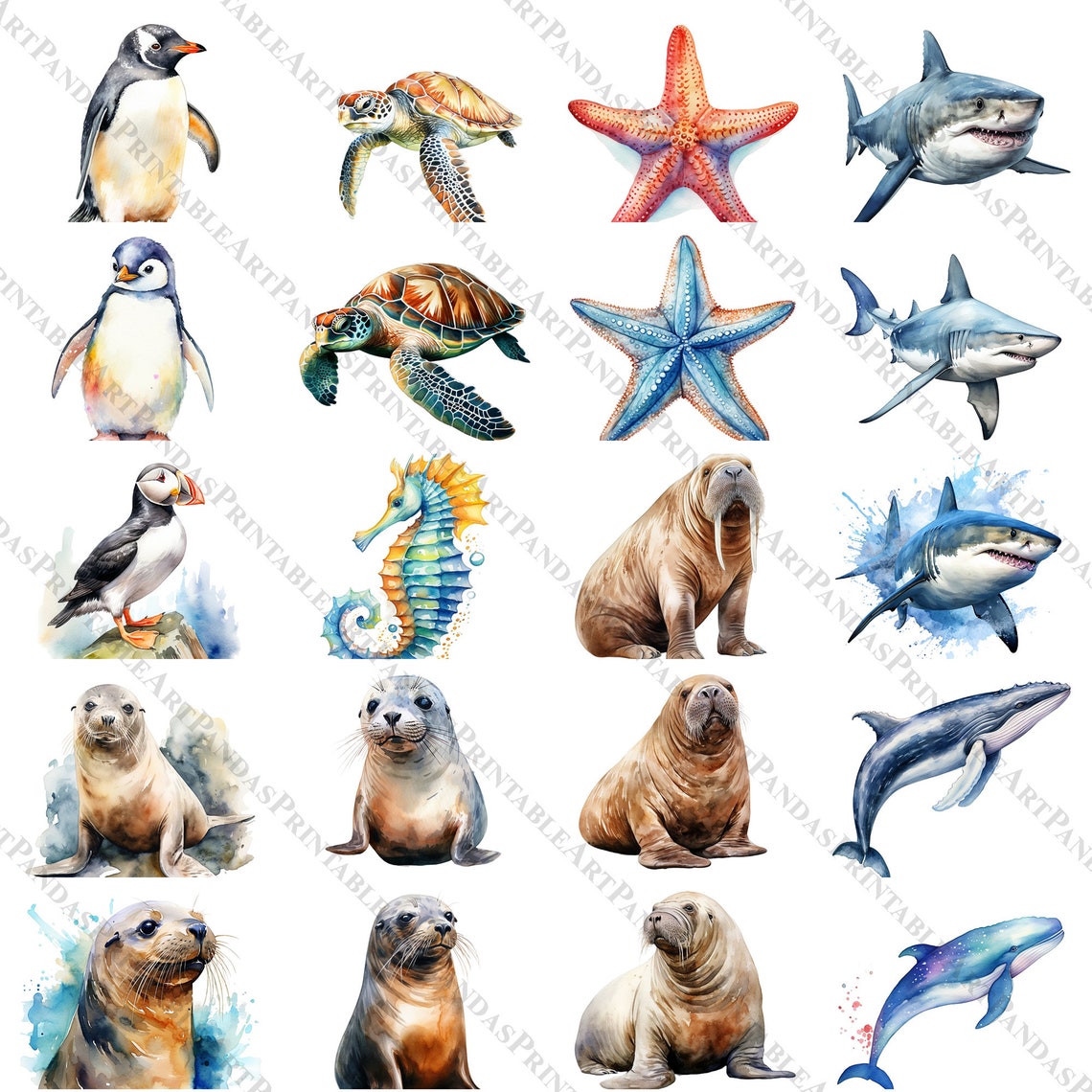 Marine Life Ocean Wonders Clipart Pack Sea Turtles, Sharks, Penguins ...