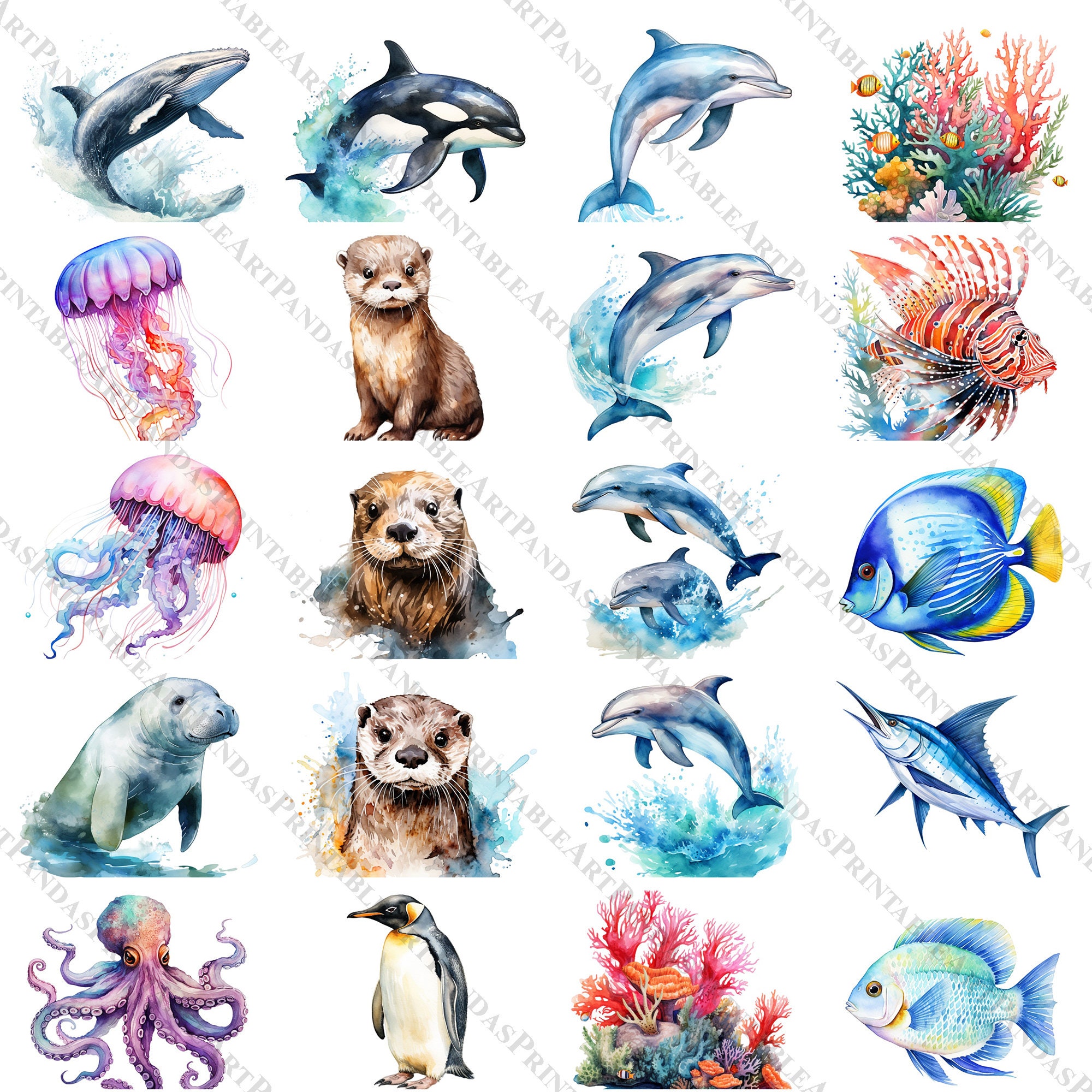 Marine Life Ocean Wonders Clipart Pack Sea Turtles, Sharks, Penguins ...
