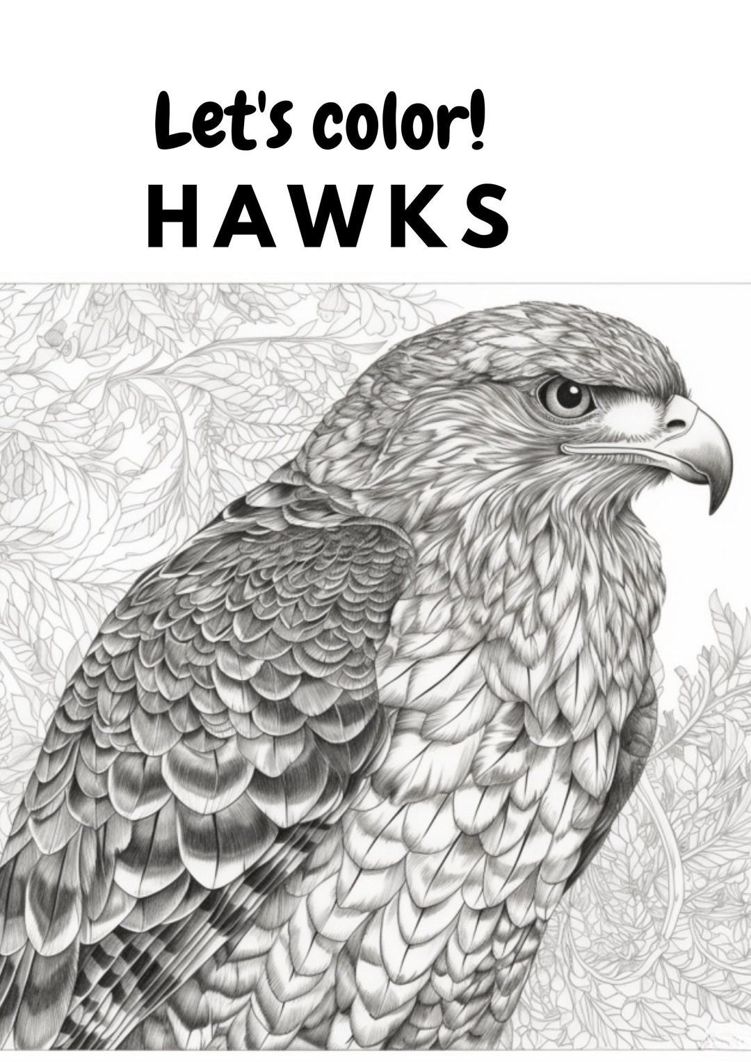 10 Hawk Coloring Pages Majestic Hawks Coloring Pages Printable Bird ...
