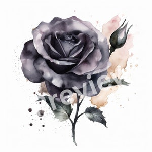 Black Rose Watercolour Clip Art Png X 20 | Gothic Roses | Botanical ...