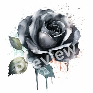 Black Rose Watercolour Clip Art Png X 20 | Gothic Roses | Botanical ...