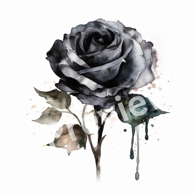 Black Rose Watercolour Clip Art Png X 20 | Gothic Roses | Botanical ...