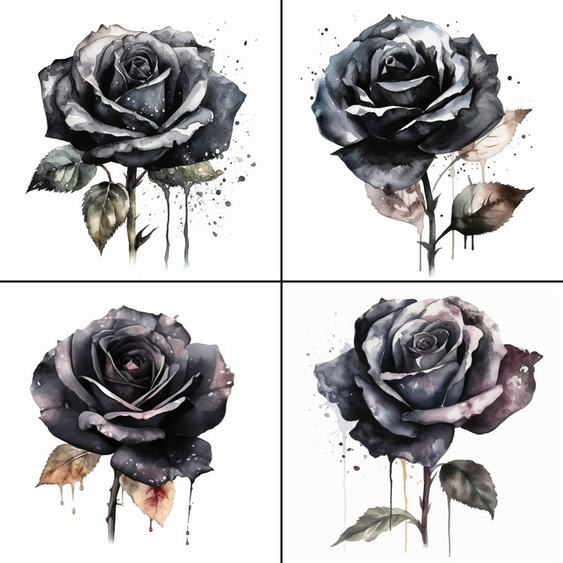 Black Rose Watercolour Clip Art Png X 20 | Gothic Roses | Botanical ...