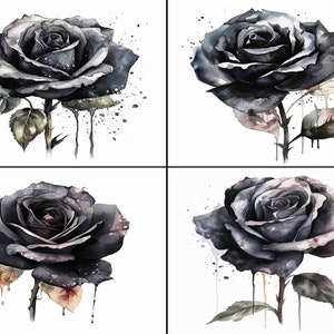 Black Rose Watercolour Clip Art Png X 20 | Gothic Roses | Botanical ...
