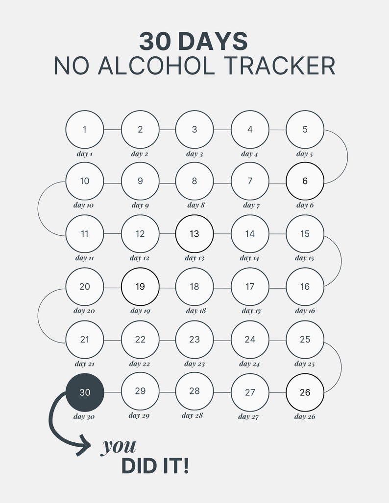 Printable 30 Day Sobriety Journal PDF Sobriety Tracker Recovery Journal ...