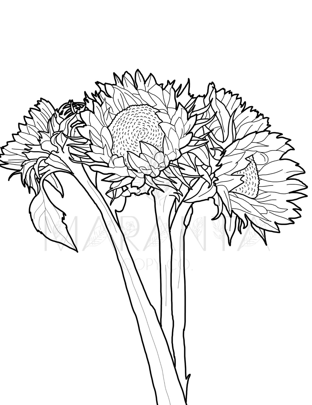 Printable Sunflower Coloring Page - Etsy