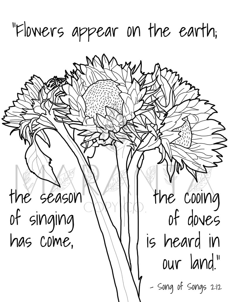 Biblical Printable Sunflower Coloring Page - Etsy