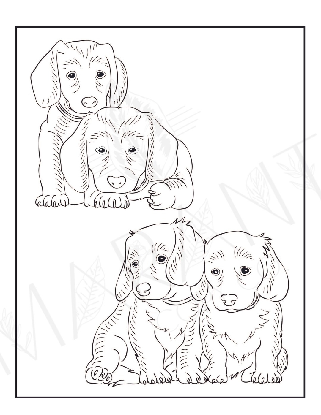 Dachshund Printable Color Sheet - Etsy