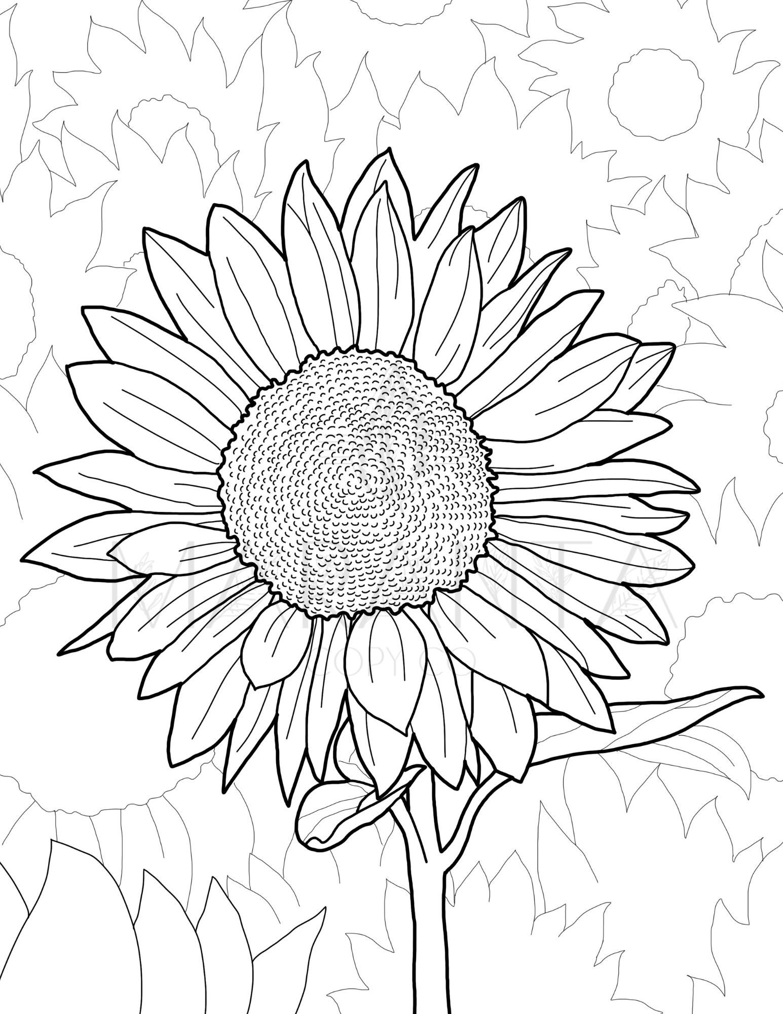 Printable Sunflower Coloring Page - Etsy